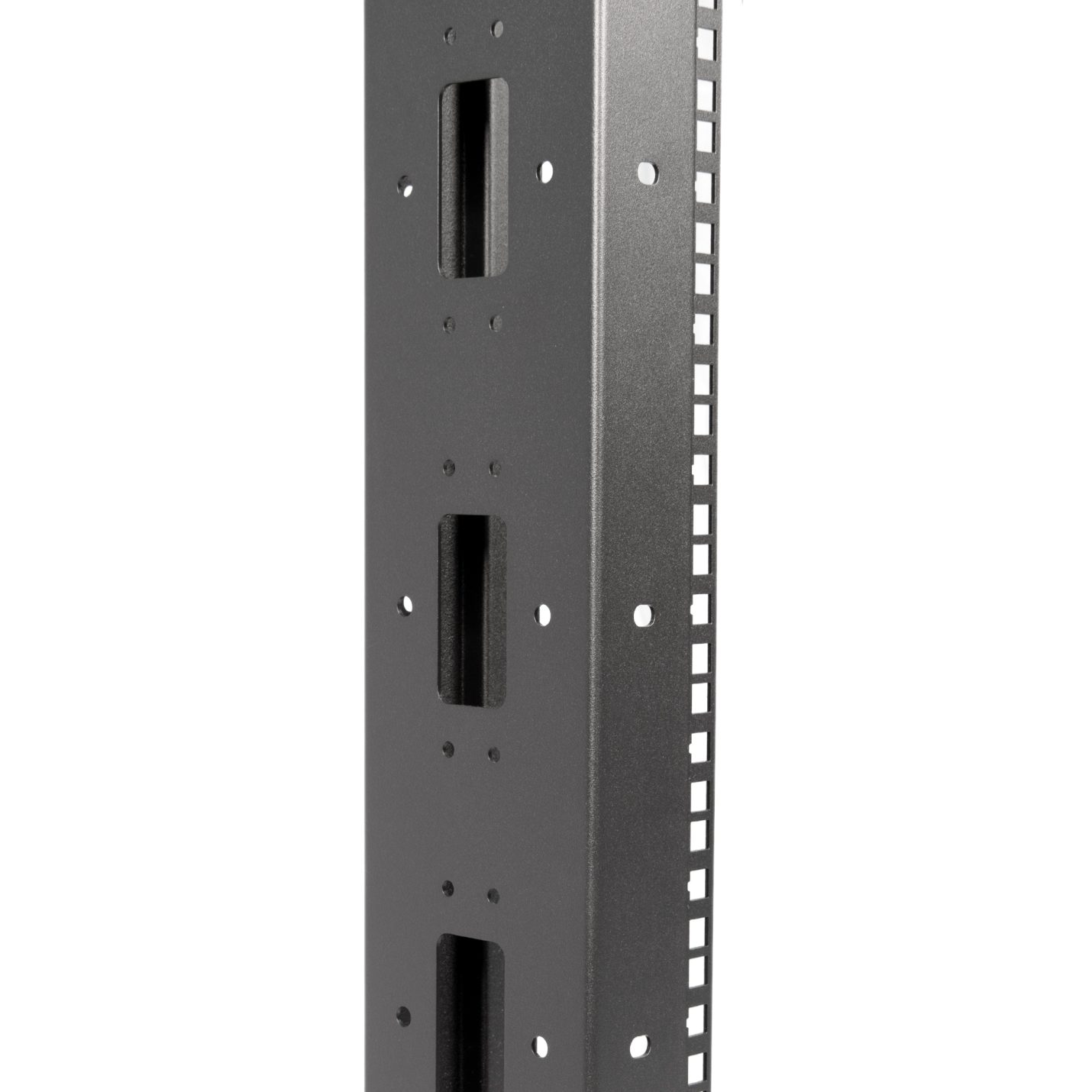 SolidRack 2-Post 42U Server Rack with Casters - Black