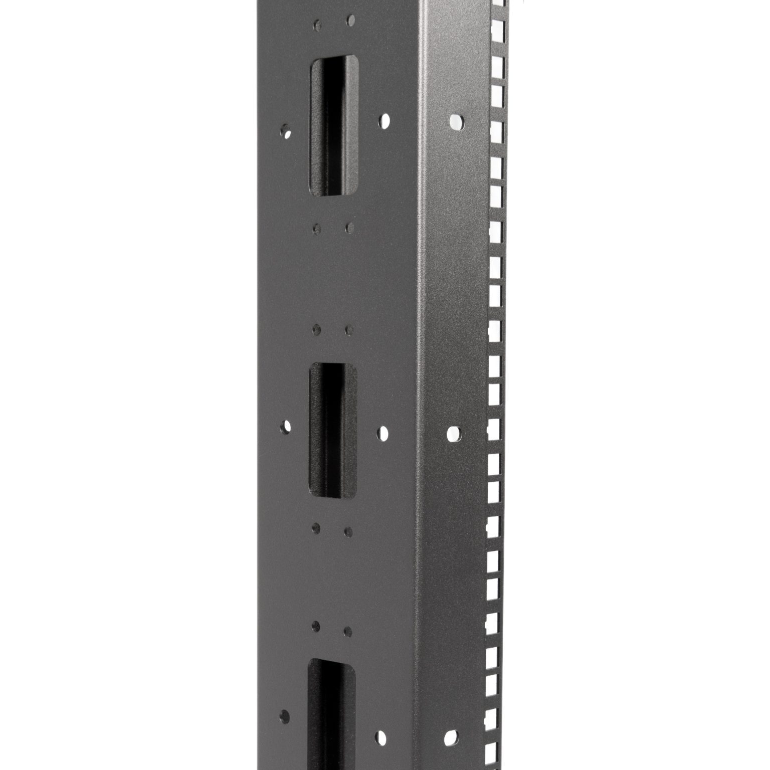 SolidRack 2-Post 42U Server Rack with Casters - Black
